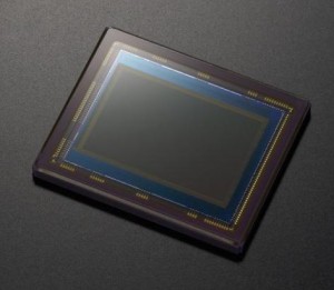 Sony rumored to announce 24MP APS-C sensor, what would Nikon do? (Nikon ...