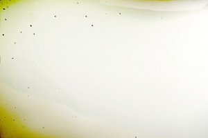 Nikon D600 sensor's dust spots caused by a gap around the shutter ...