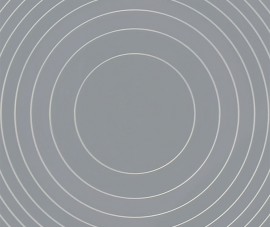 Nikon's Phase Fresnel (PF) lens explained - Nikon Rumors