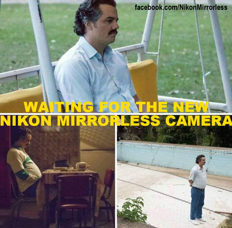 Nikon mirrorless camera memes (only for people with a sense of humor ...