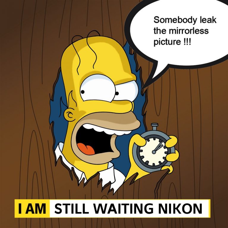Nikon mirrorless camera memes (only for people with a sense of humor ...