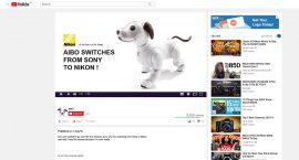 Nikon mirrorless camera memes (only for people with a sense of humor ...