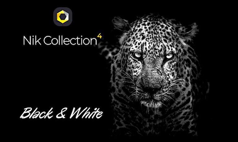 Nikon released Windows 11 compatibility list for their software ...