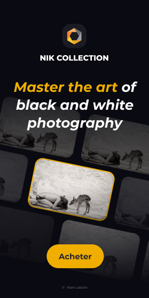 Nikon DSLR lineup and the new Df camera - Nikon Rumors