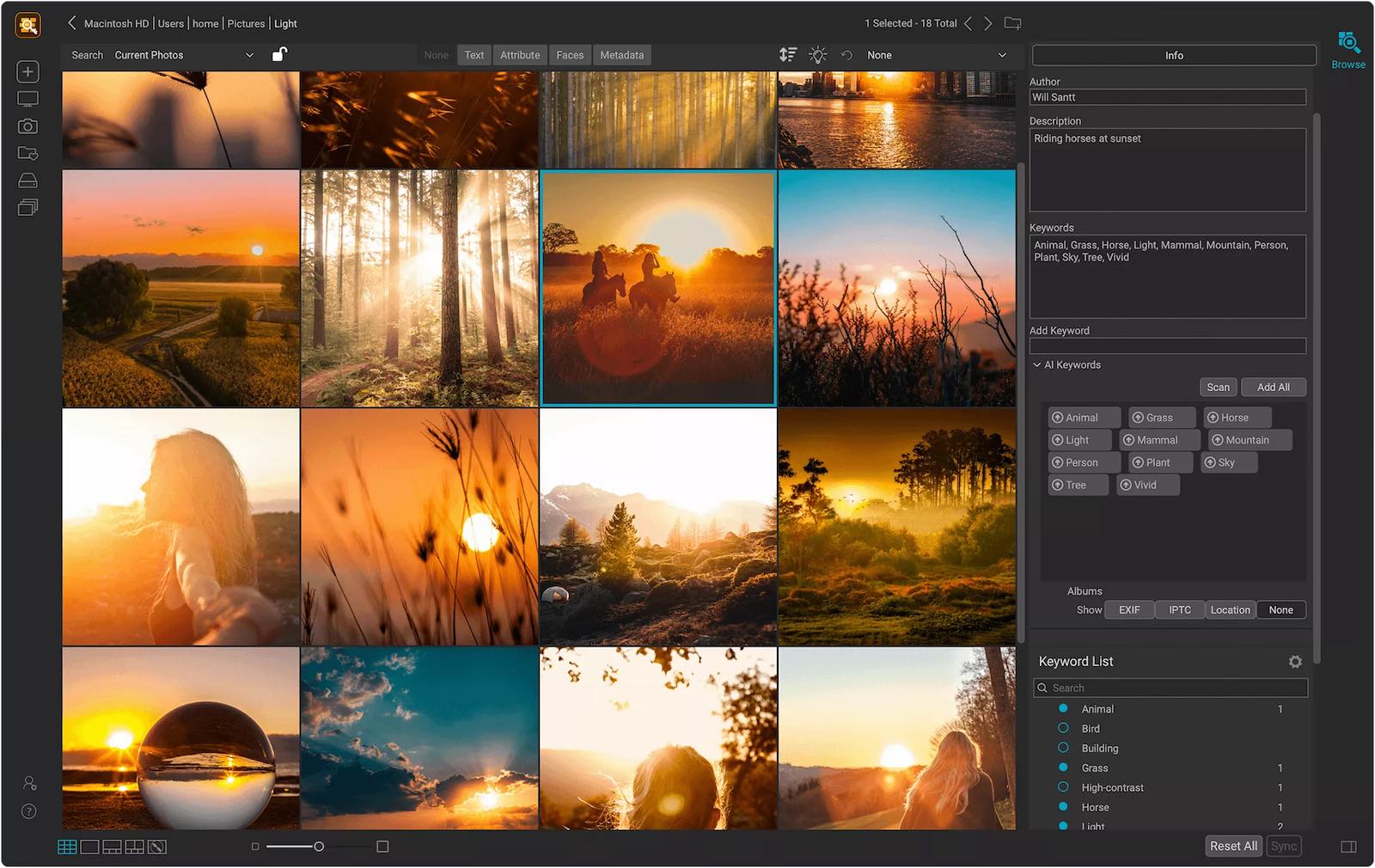 Coming tomorrow: new ON1 Photo Keyword AI software that will make your ...