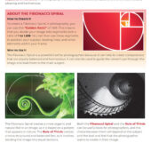 PictureCorrect Archives - Nikon Rumors