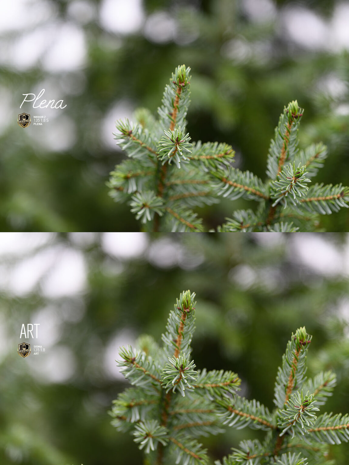 Plena vs. Art (Nikkor Z 135mm f/1.8 S Plena vs. Sigma 135mm f/1.8 DG HSM Art) - Nikon Rumors