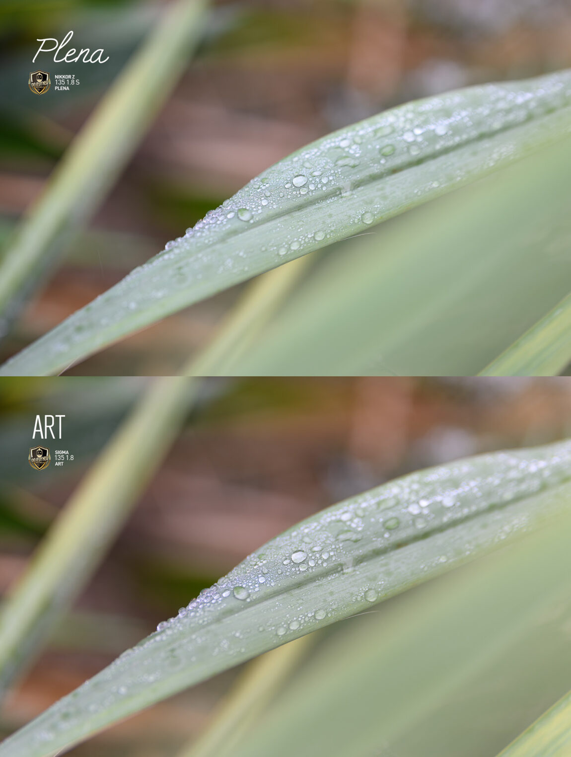 Plena vs. Art (Nikkor Z 135mm f/1.8 S Plena vs. Sigma 135mm f/1.8 DG HSM Art) - Nikon Rumors