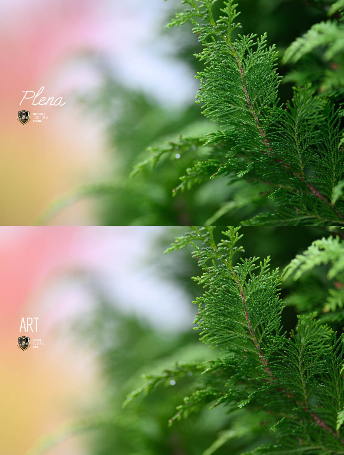 Plena vs. Art (Nikkor Z 135mm f/1.8 S Plena vs. Sigma 135mm f/1.8 DG HSM Art) - Nikon Rumors
