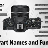 Nikon Zf Archives - Nikon Rumors