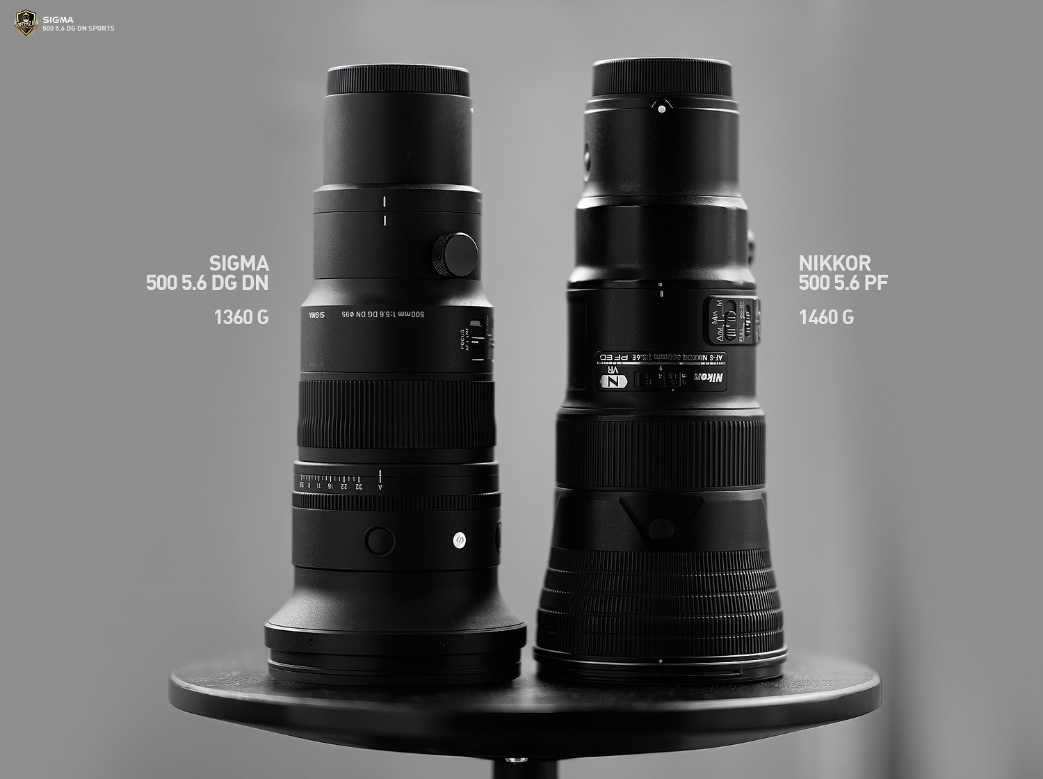 The new Sigma 500mm f/5.6 DG DN OS Sports lens tested on the Nikon Z9 ...