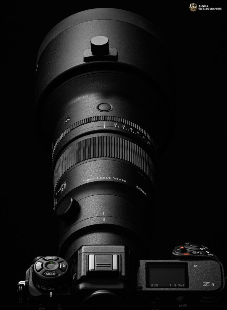 The new Sigma 500mm f/5.6 DG DN OS Sports lens tested on the Nikon Z9 ...