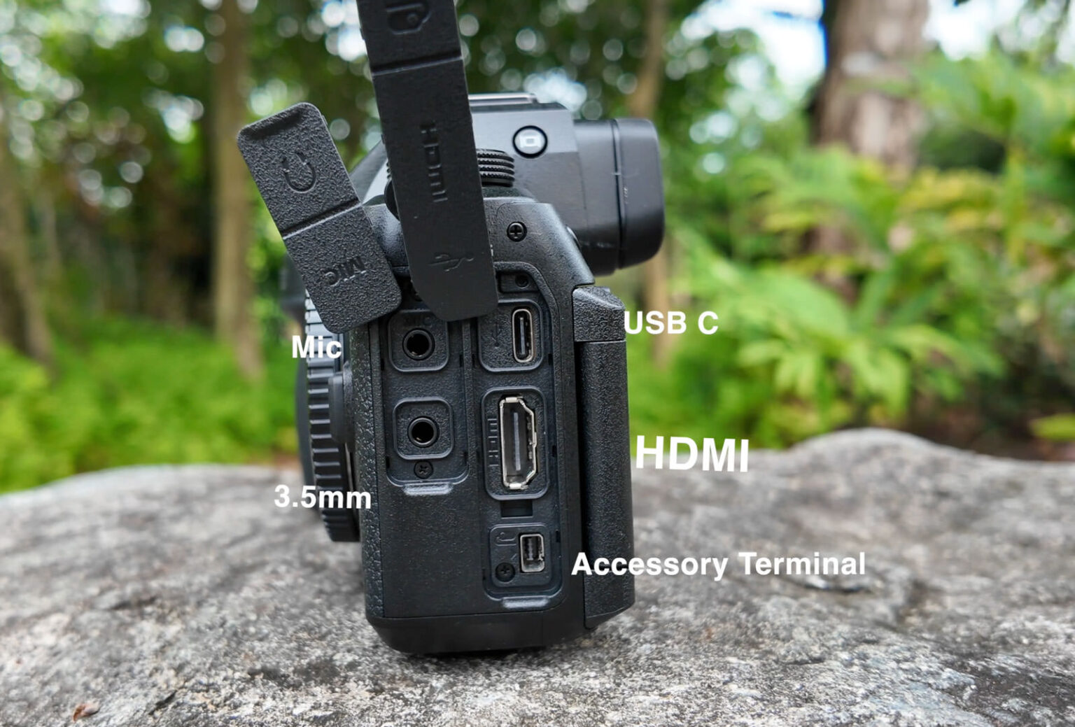 Nikon Z6 III Review, Low Light, Autofocus, Real World Performance ...