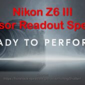 Nikon Z6 III Archives - Nikon Rumors