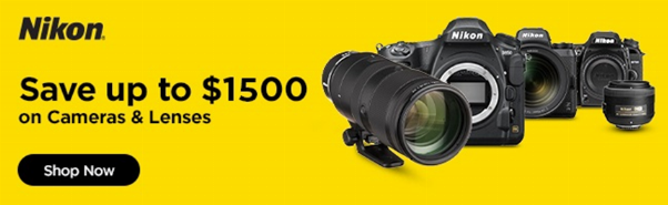 Nikon Rumors - where there’s smoke there’s fire