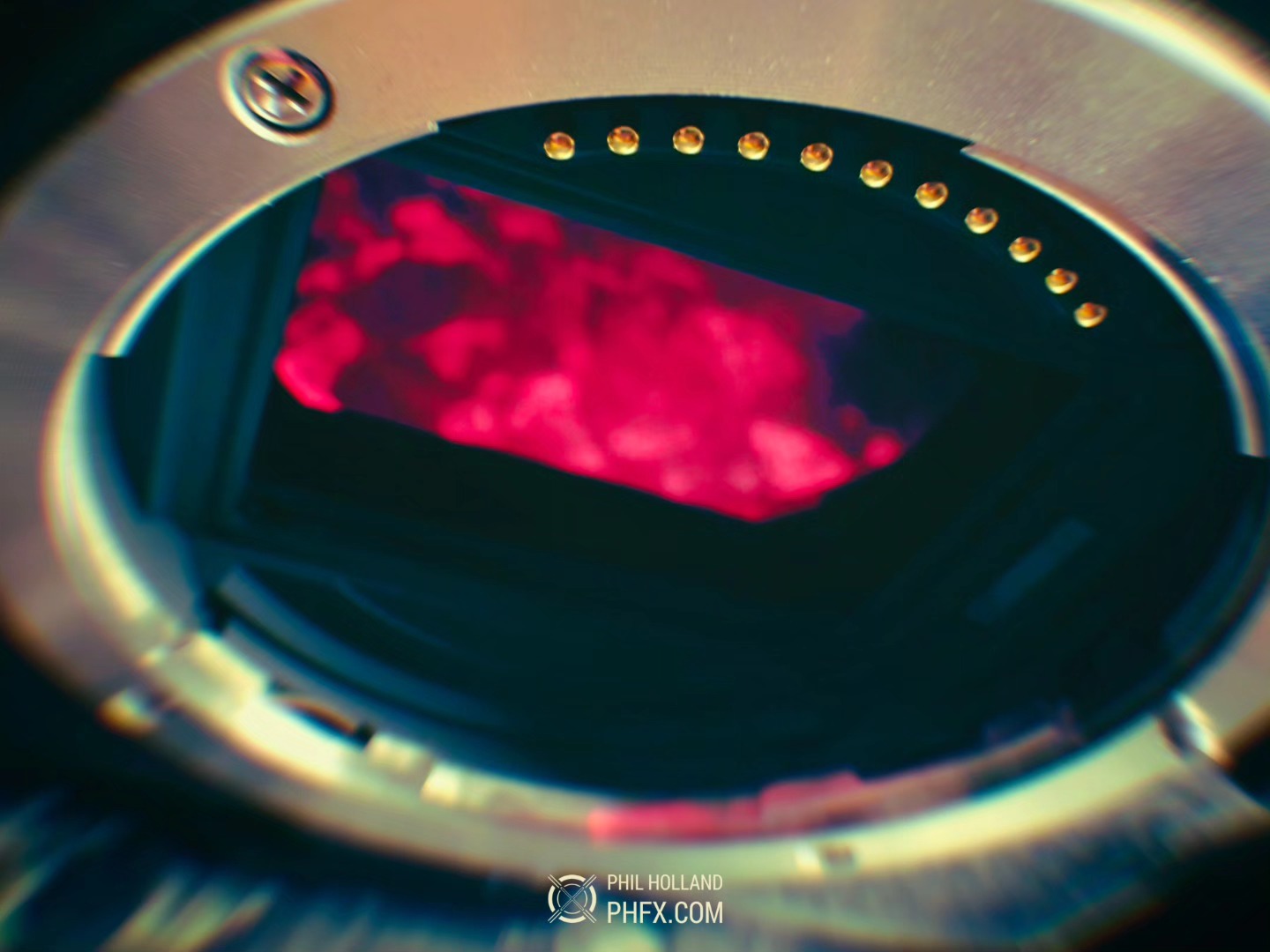 First "RED ZED" teaser? - Nikon Rumors
