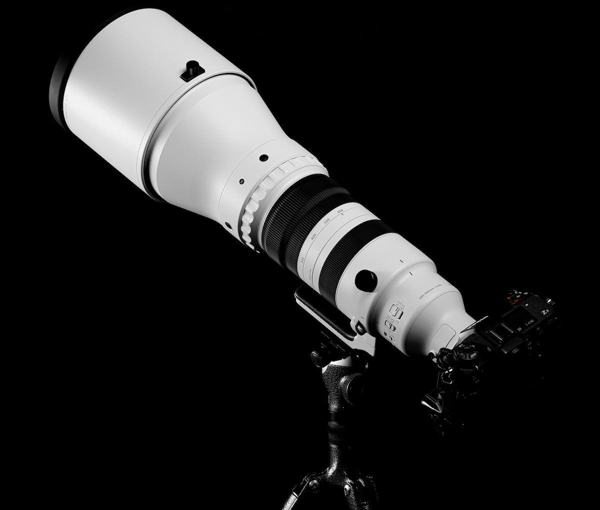 Sigma 300-600mm f/4 DG OS Sports lens for Sony E-mount tested on the ...