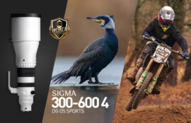 Sigma 300-600mm f/4 DG OS Sports lens for Sony E-mount tested on the ...